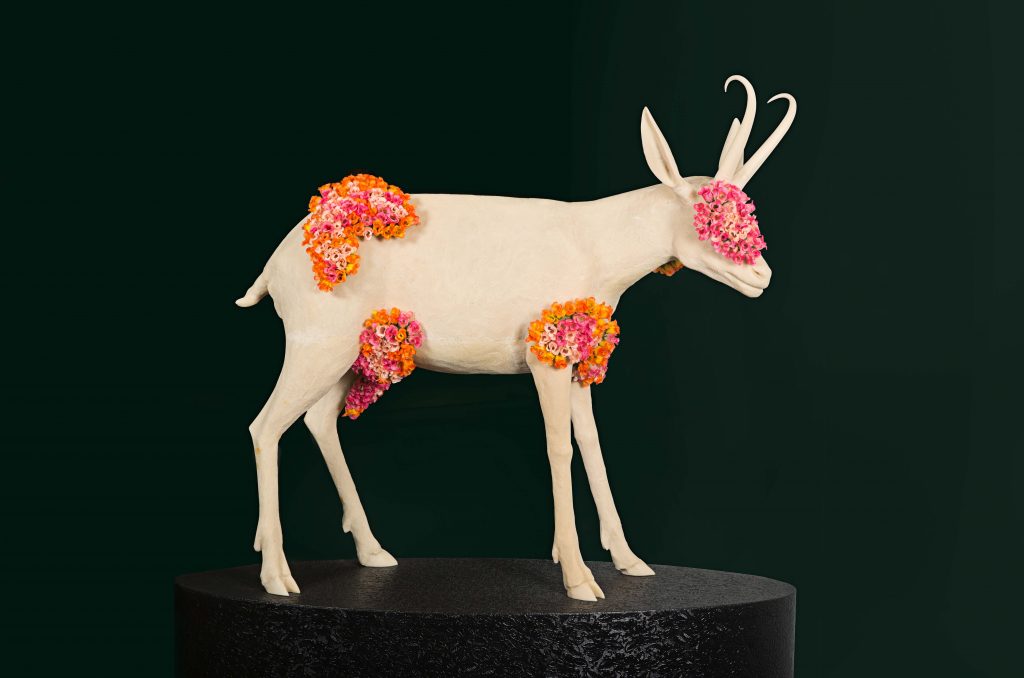 Michael von Brentano - KSK